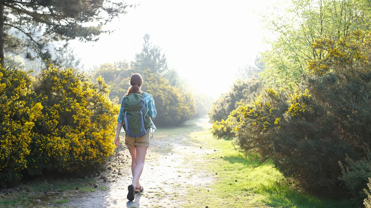 Why Nature Walks Are Great For Mental Health - Get Healthy Lifestyles